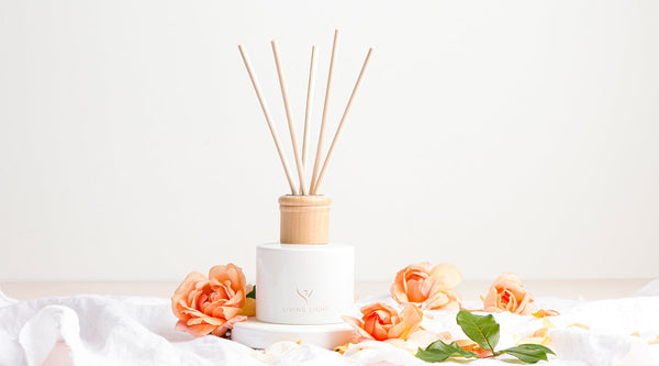 Premium Fragrance Reed Diffusers Online | Living Light – Living Light ...